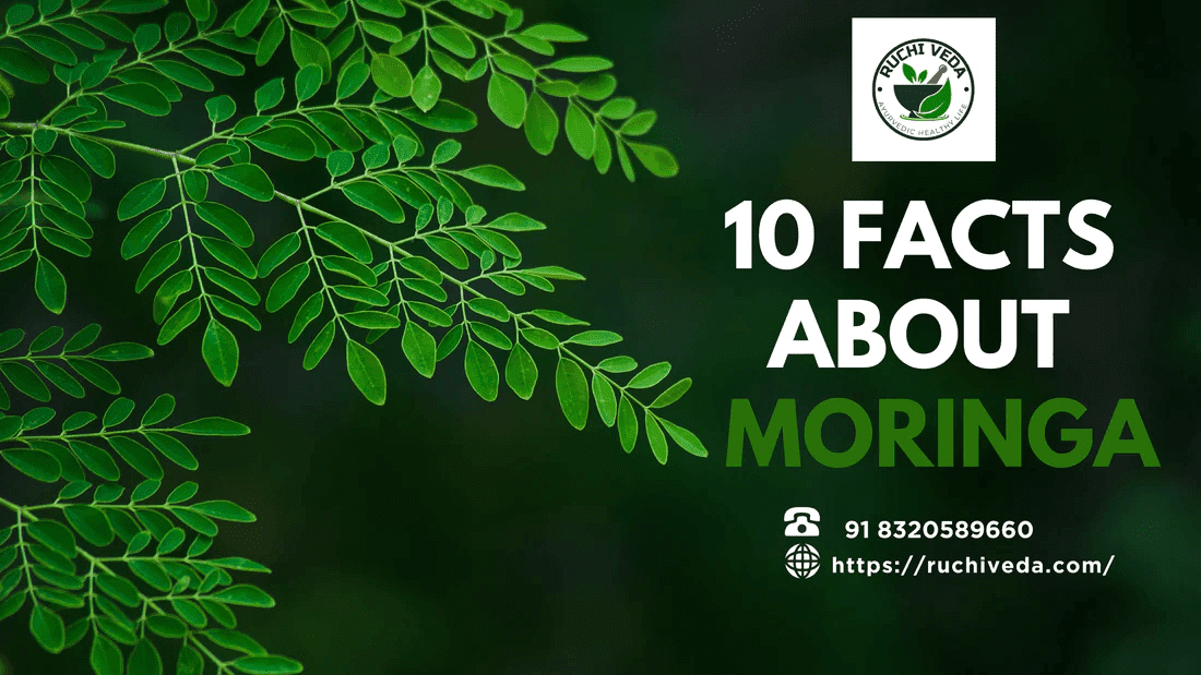 10 FACTS ABOUT MORINGA – Ruchi Veda