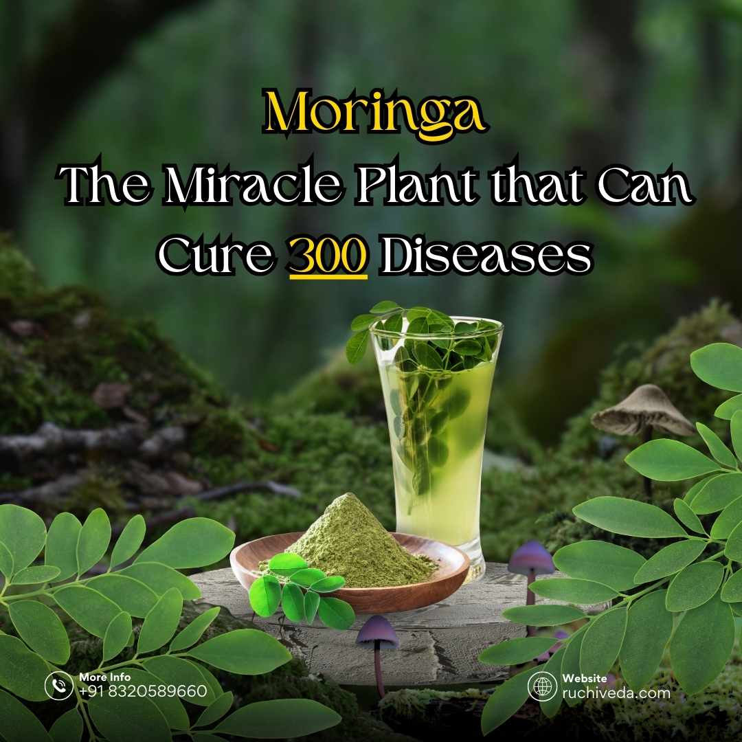 Moringa: The Miracle Plant That Can Cure 300 Diseases – Ruchi Veda