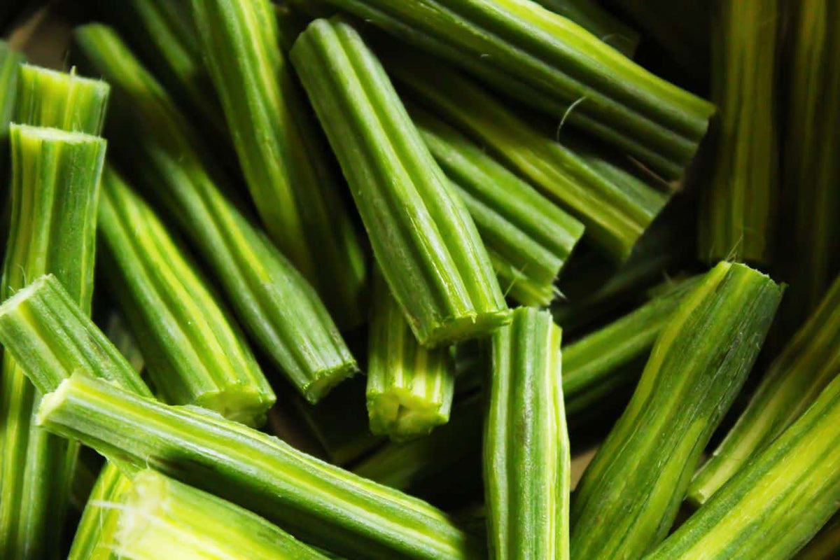 What is Moringa and Its Different Types of Moringa Names – Ruchi Veda